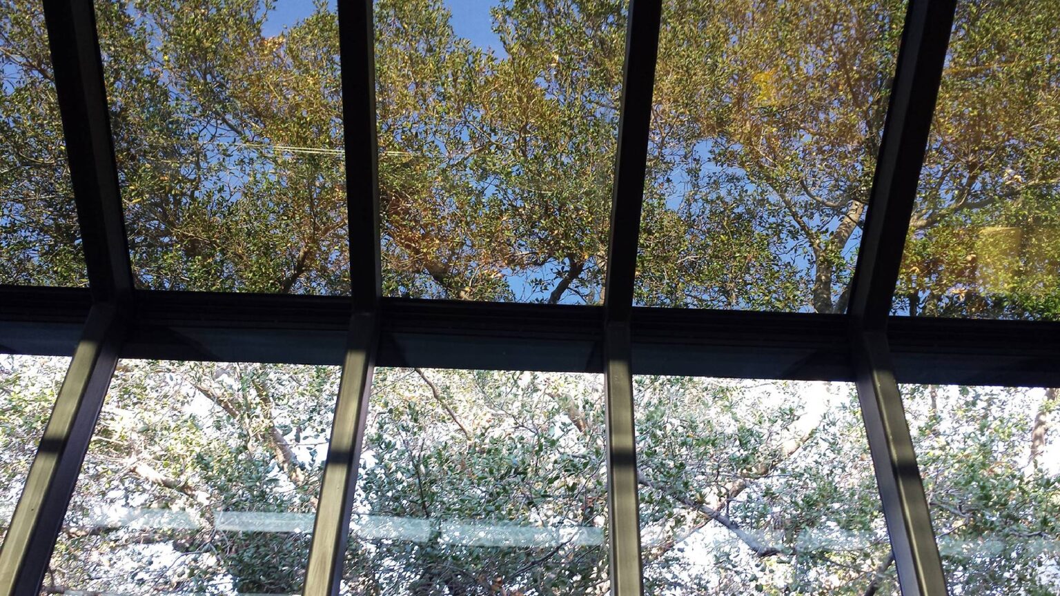 Home New Own - Simply Superior Window Cleaning